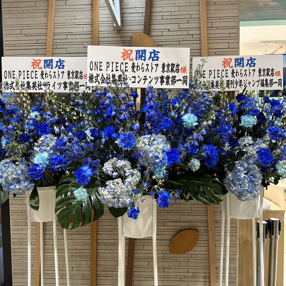 「ONE PIECE海賊王」全日本第10間專門店 登陸東京站一番街 - Fly GBA