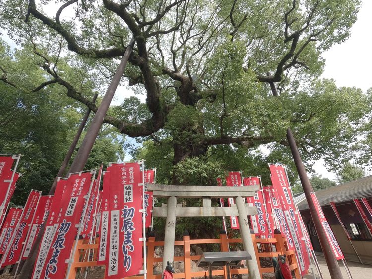 目的地 | 大阪 - Fly GBA